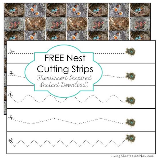 FREE Nest Cutting Strips (Montessori-Inspired Instant Download ...