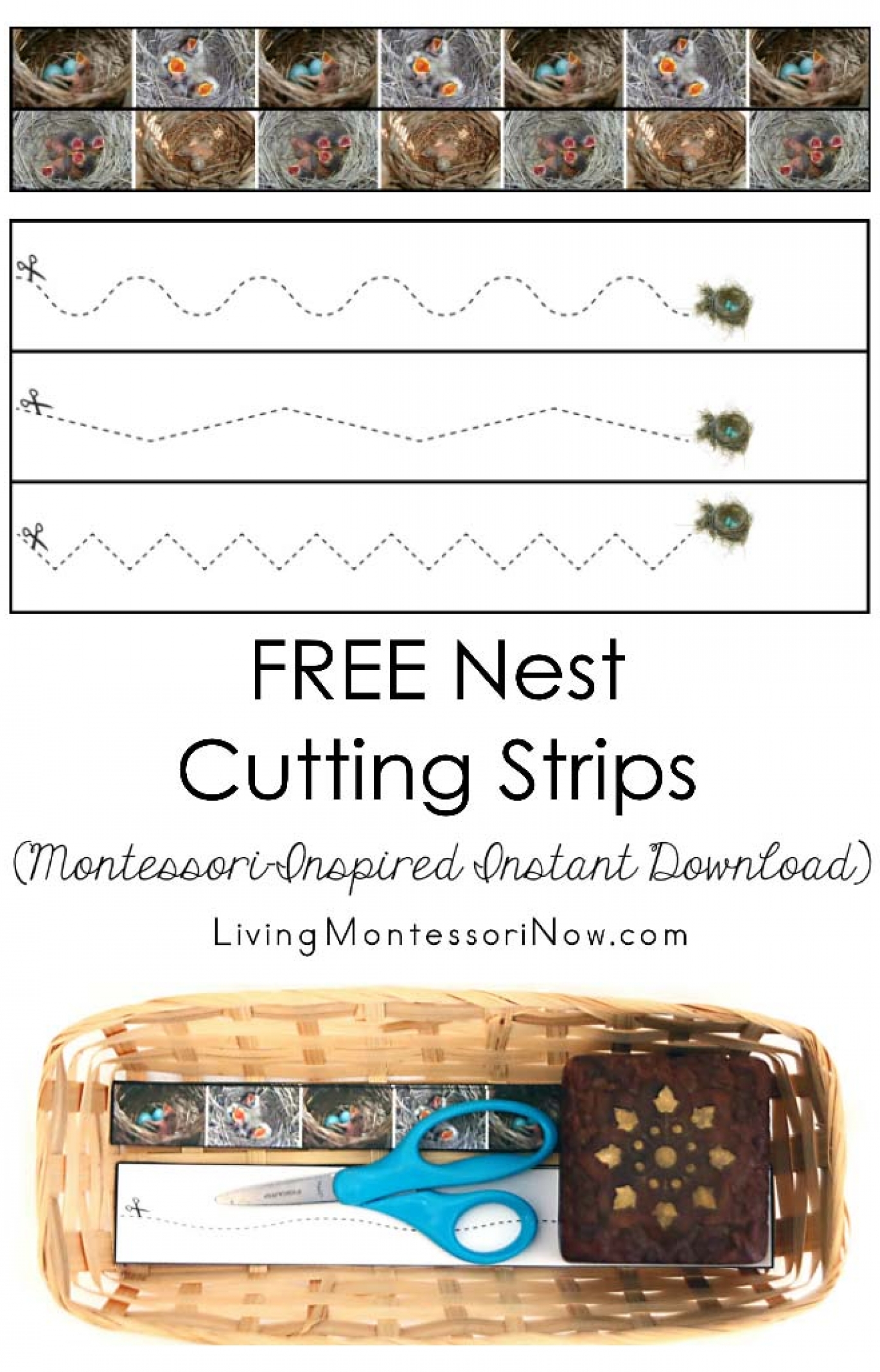 FREE Ant Cutting Strips (Montessori-Inspired Instant Download ...