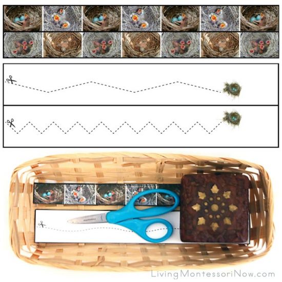 FREE Nest Cutting Strips (Montessori-Inspired Instant Download ...