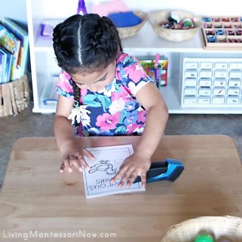 Montessori-Inspired Fun with Easter Eggs and Oviparous Animals - Living ...