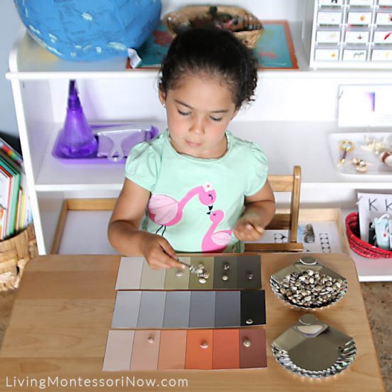 Seashell Color Matching {Easy-to-Prepare Variation of Montessori Color ...
