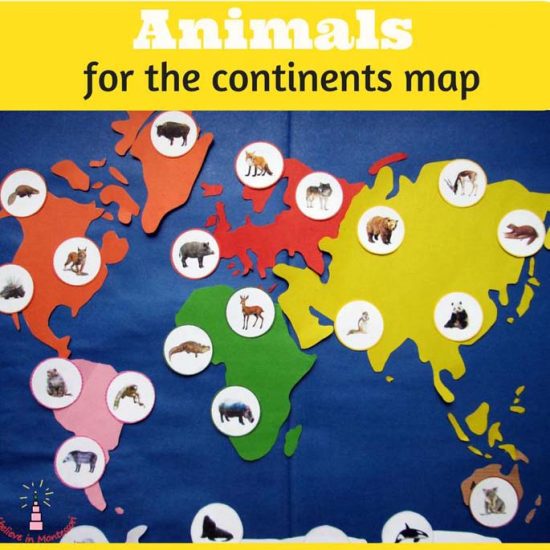 Montessori Animals and Plants of the Continents Circles from the Nature ...