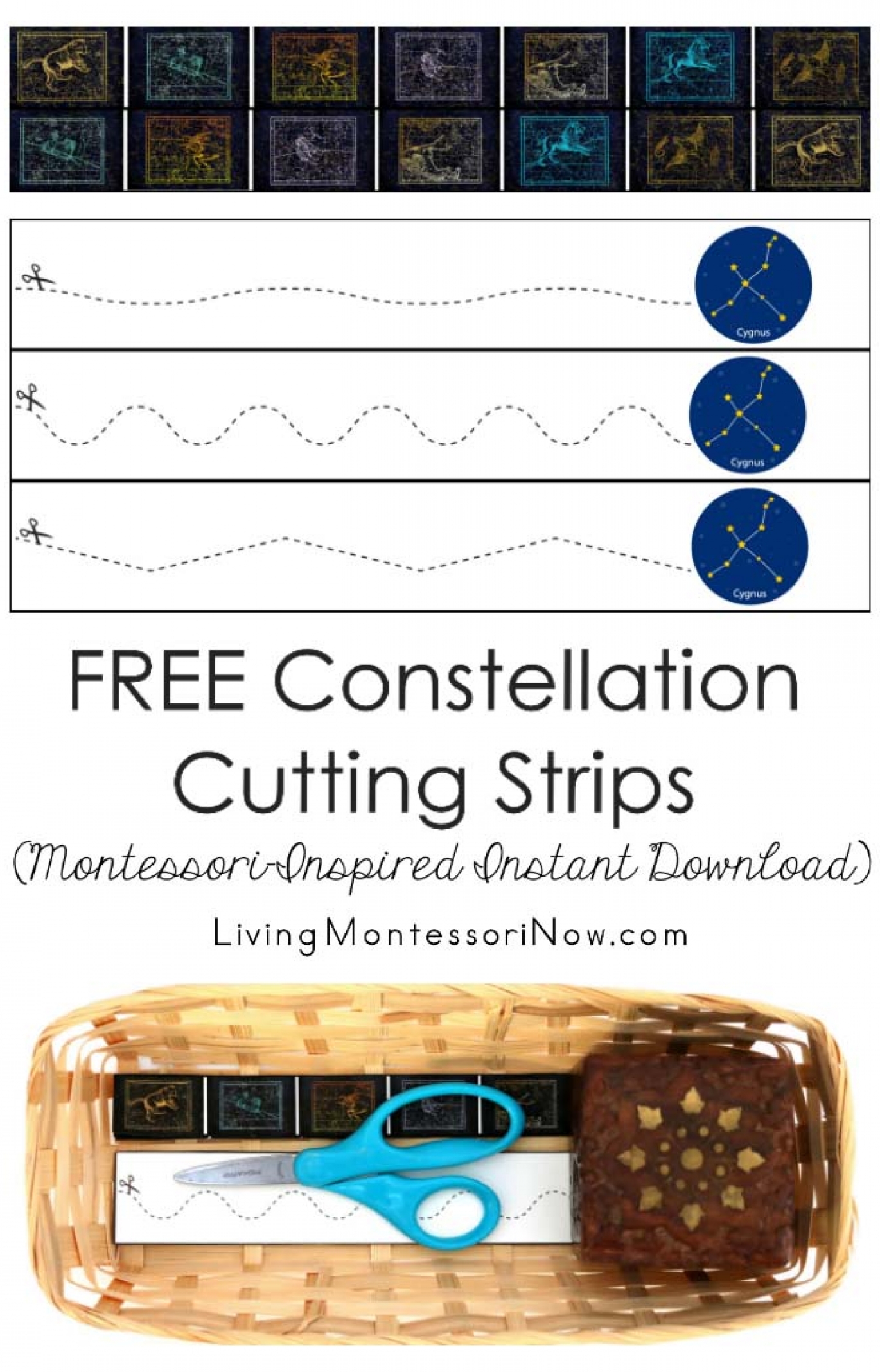 Developing Scissor Cutting Skills with Montessori-Inspired Activities