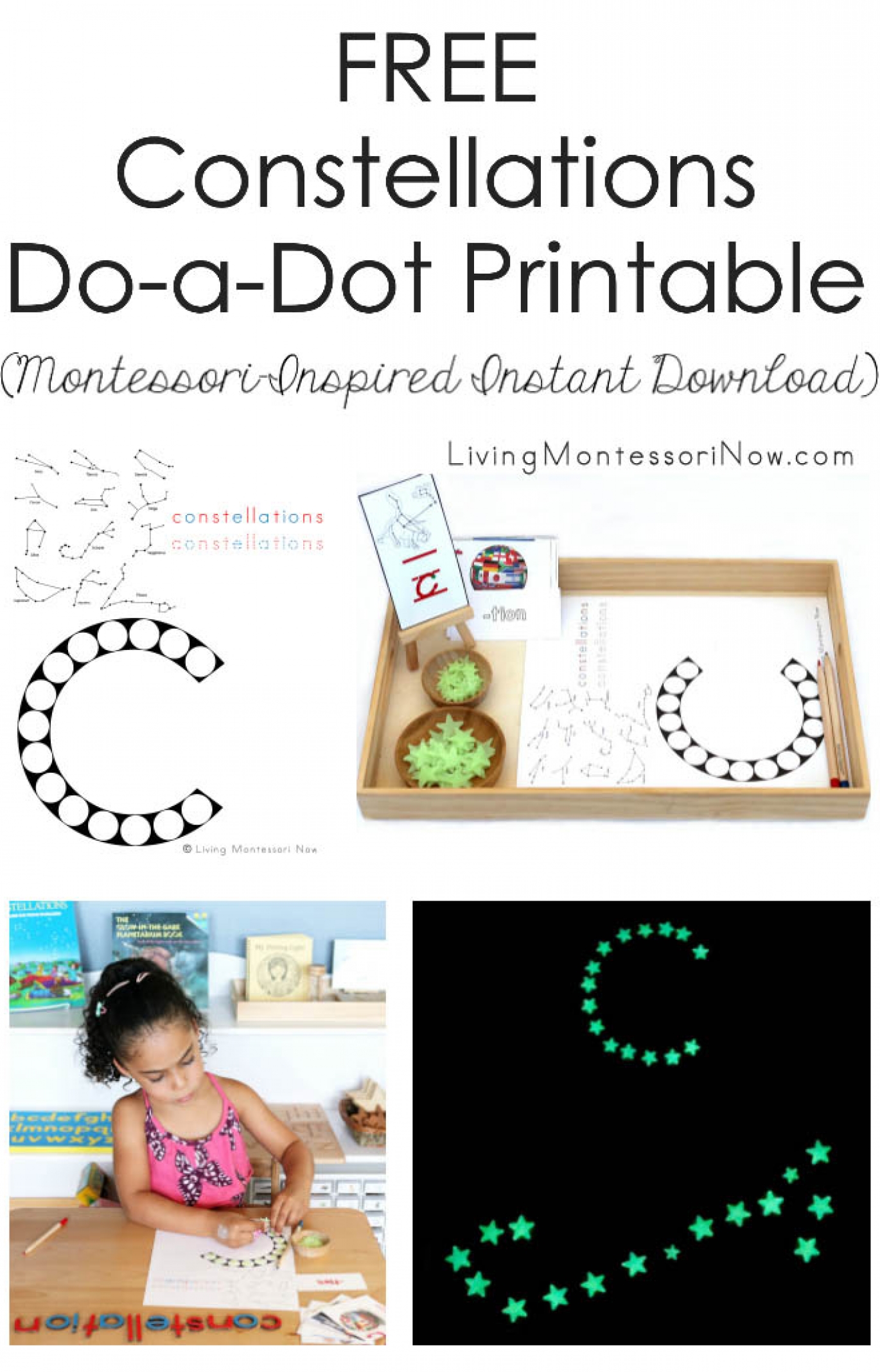 FREE Honeybee Do-a-Dot Printable (Montessori-Inspired Instant Download ...