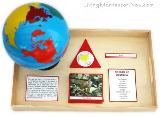 Montessori Animals and Plants of the Continents Circles from the Nature ...