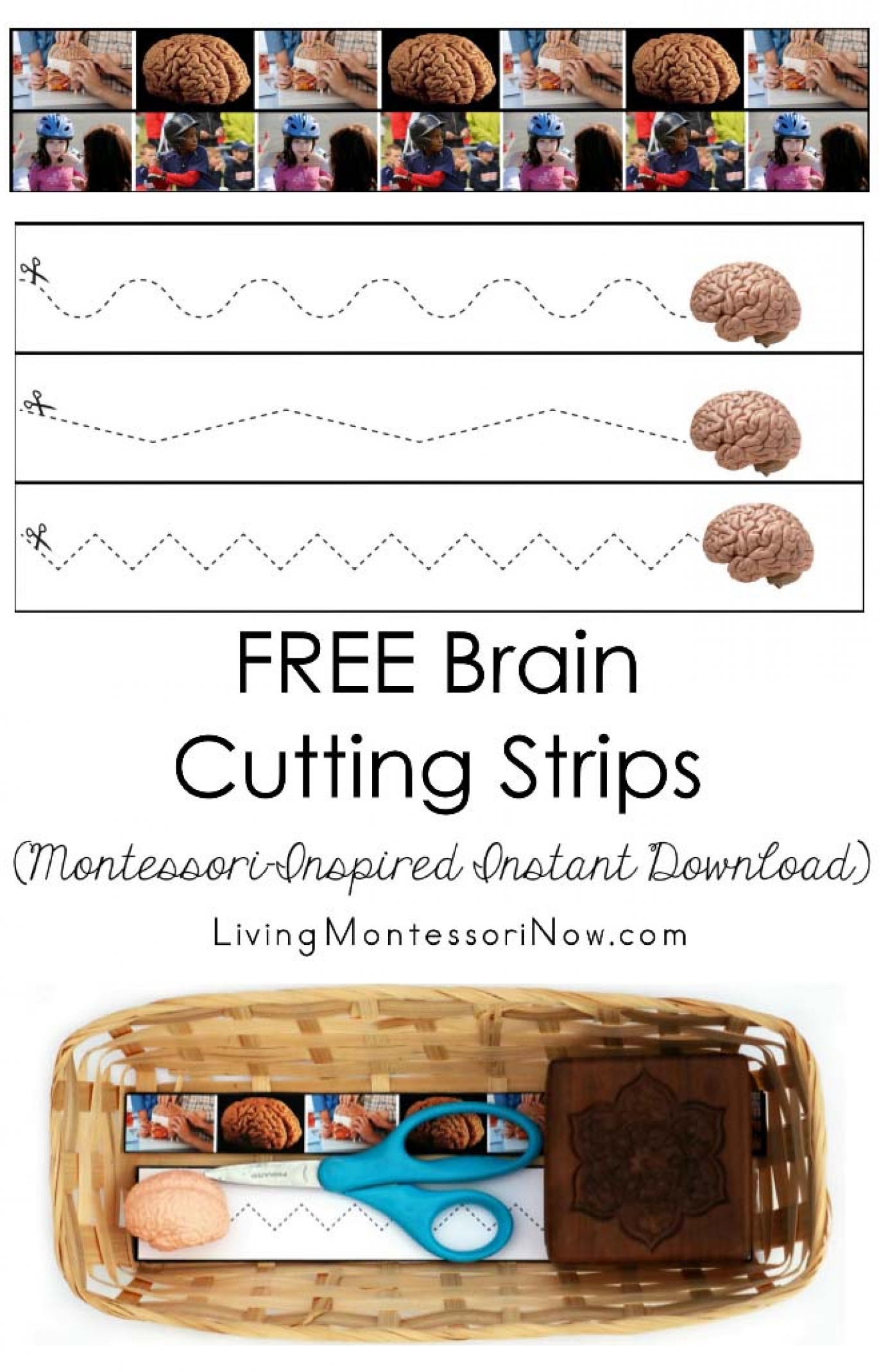 Free Cutting Strips - Living Montessori Now
