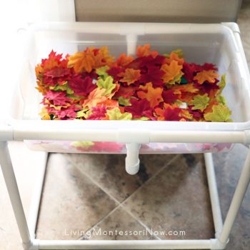 Fall Leaf Sensory Bin with Parts of a Leaf Scavenger Hunt and ...