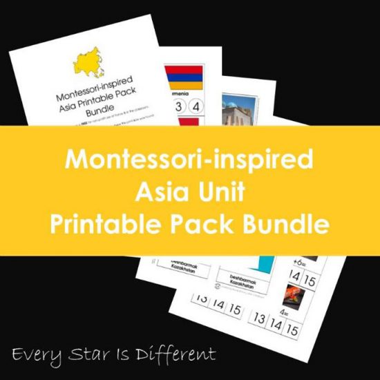 Montessori Continents and Oceans Printables for Preschool Through Early ...