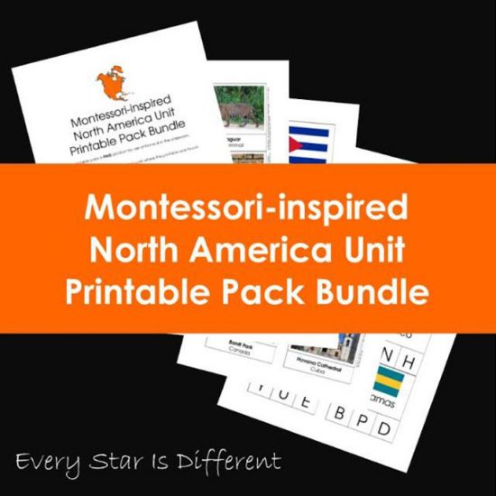 Montessori Continents and Oceans Printables for Preschool Through Early ...