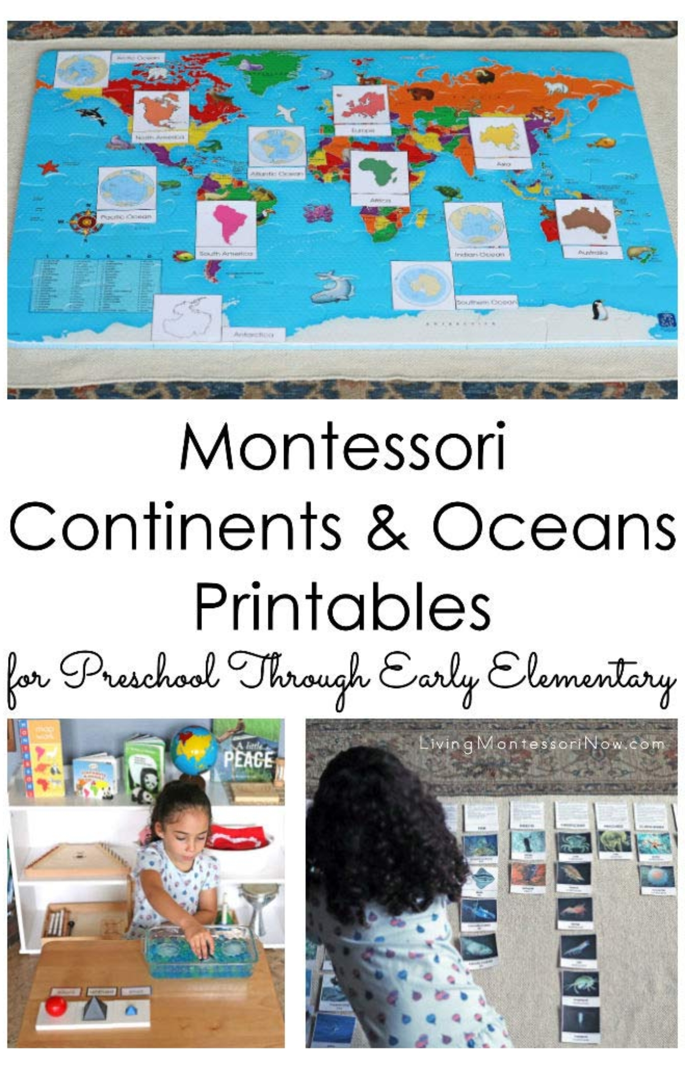 Montessori-Inspired Civil Rights Movement Printables for Preschool ...