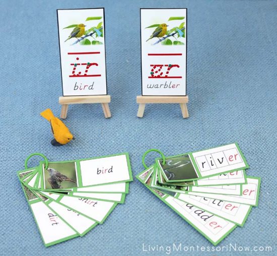 Free Backyard Bird Printables and Montessori-Inspired Backyard Bird ...