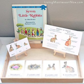 Montessori Spring Printables for Classroom or Home - Living Montessori Now
