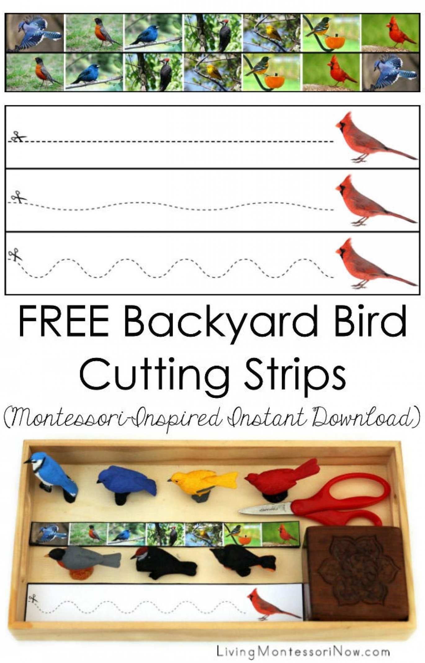 Developing Scissor Cutting Skills with Montessori-Inspired Activities