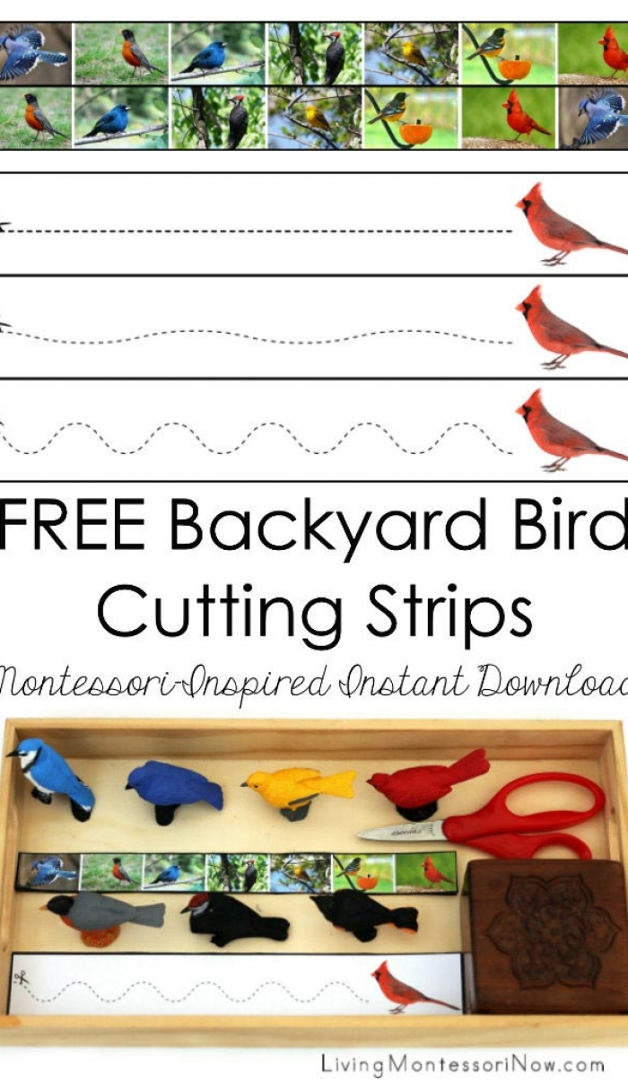 FREE Eat-a-Rainbow Cutting Strips (Montessori-Inspired Instant Download ...