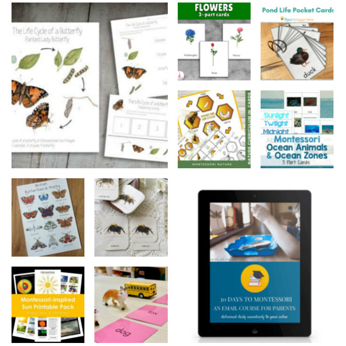 Montessori Summer Resources for Classroom or Home - Living Montessori Now