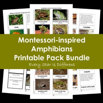 Montessori Vertebrate Resources for Preschool Through Elementary ...