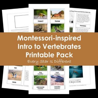 Montessori Vertebrate Resources for Preschool Through Elementary ...
