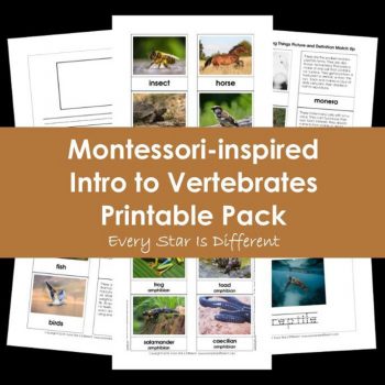 Montessori Vertebrate Resources for Preschool Through Elementary ...