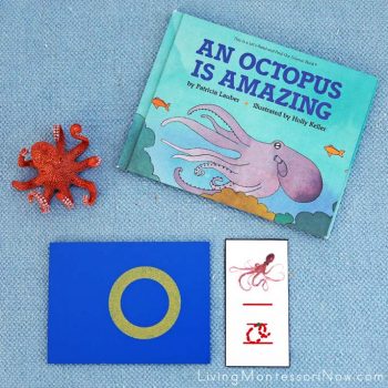 Free Ocean Printables and Montessori-Inspired Ocean Activities - Living ...