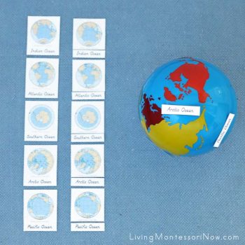 Free Ocean Printables and Montessori-Inspired Ocean Activities - Living ...