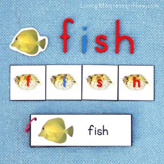 Free Ocean Printables and Montessori-Inspired Ocean Activities - Living ...