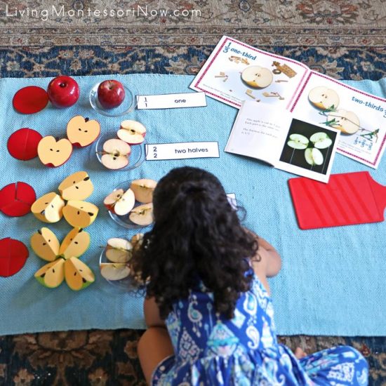 Montessori Apple Fraction Activities for Multiple Ages - Living ...