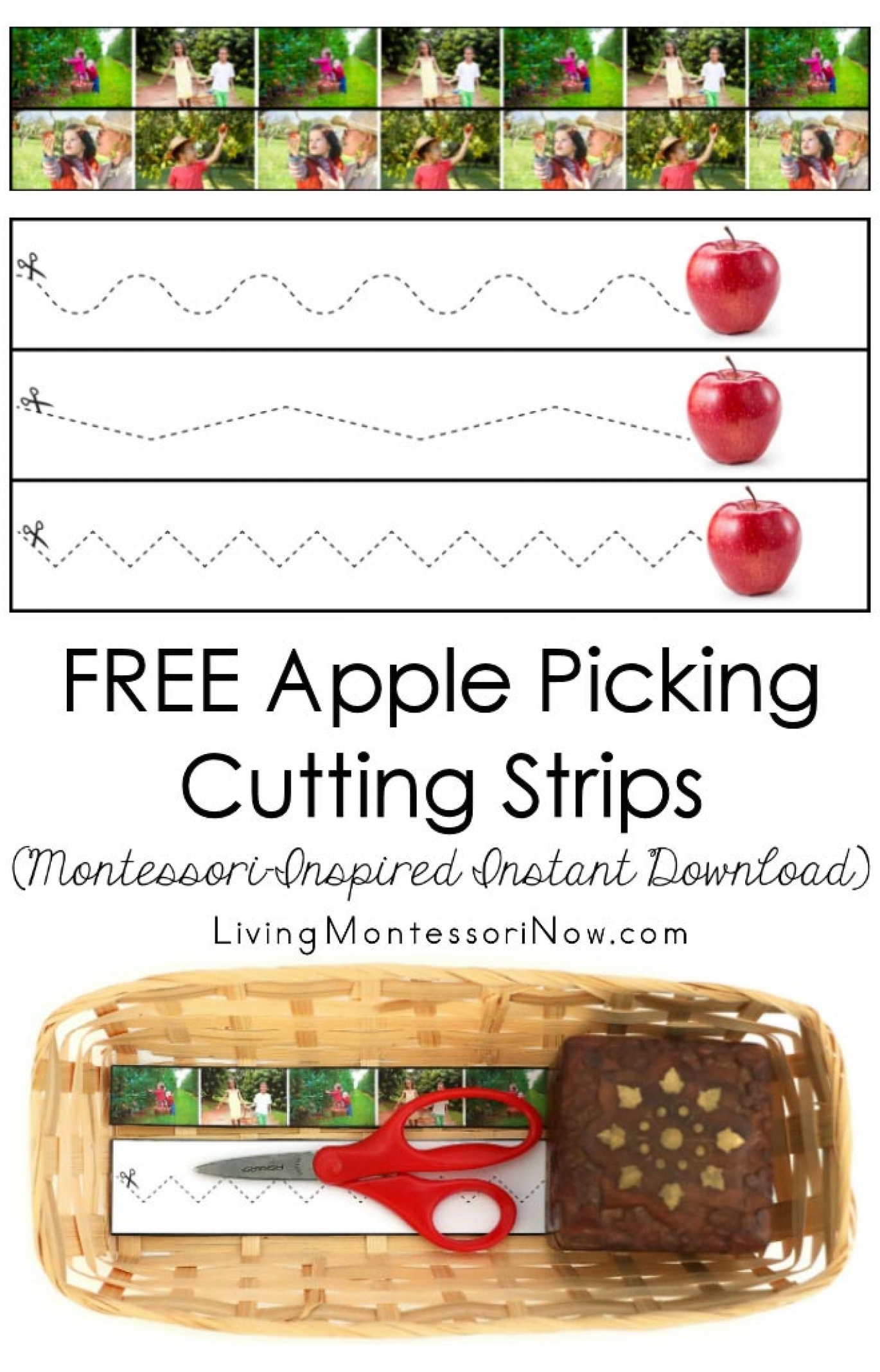 Developing Scissor Cutting Skills with Montessori-Inspired Activities