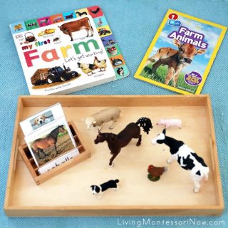 Free Farm Printables and Activities for a Montessori-Inspired Farm Unit ...