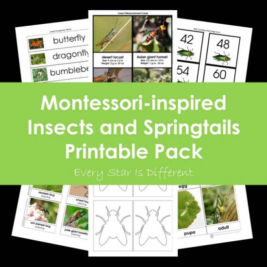 Montessori Invertebrate Resources for Preschool Through Elementary ...