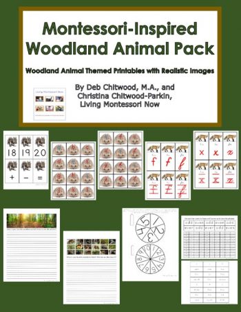 Free Woodland Animal Printables and Montessori-Inspired Woodland Animal ...