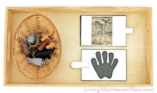Free Woodland Animal Printables and Montessori-Inspired Woodland Animal ...