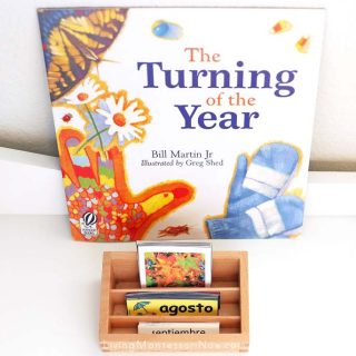 Free Months & Seasons Printables and Montessori-Inspired Months ...