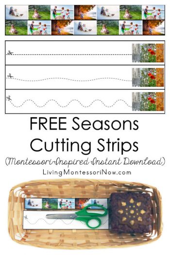 FREE Seasons Cutting Strips (Montessori-Inspired Instant Download ...