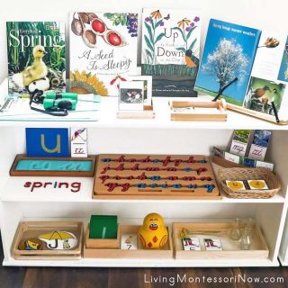 Free Spring Printables and Montessori-Inspired Spring Activities ...