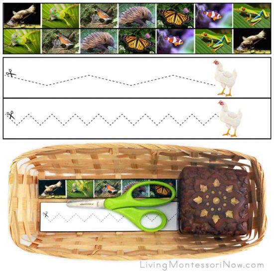 FREE Oviparous Animal Cutting Strips (Montessori-Inspired Instant ...