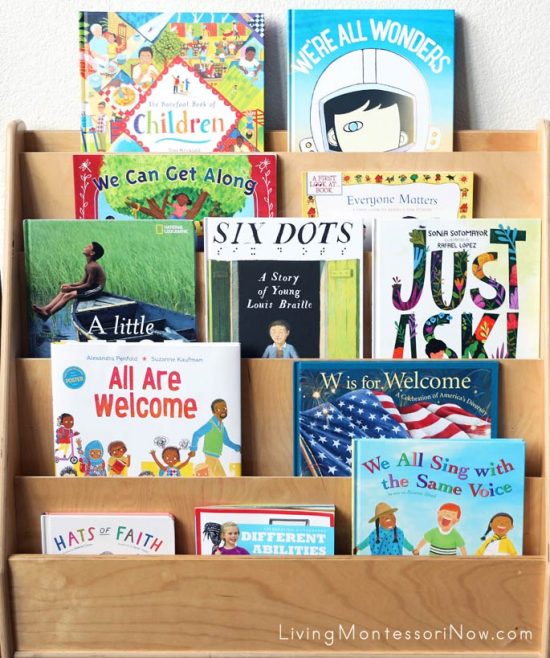 Montessori Diversity and Inclusion Resources for Preschool Through ...