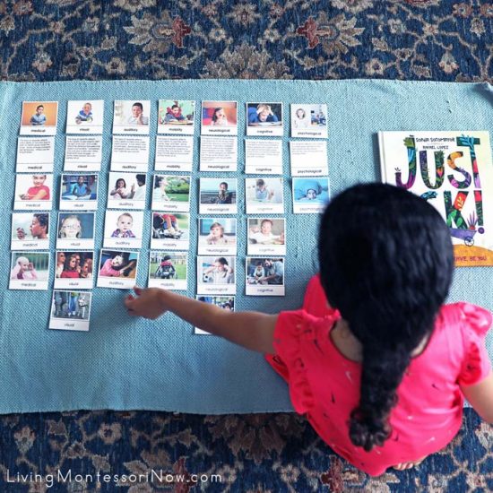 Montessori Diversity and Inclusion Resources for Preschool Through ...