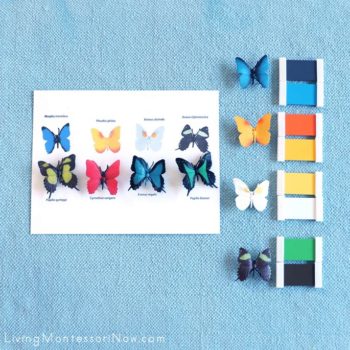 Free Summer Printables and Montessori-Inspired Summer Activities ...