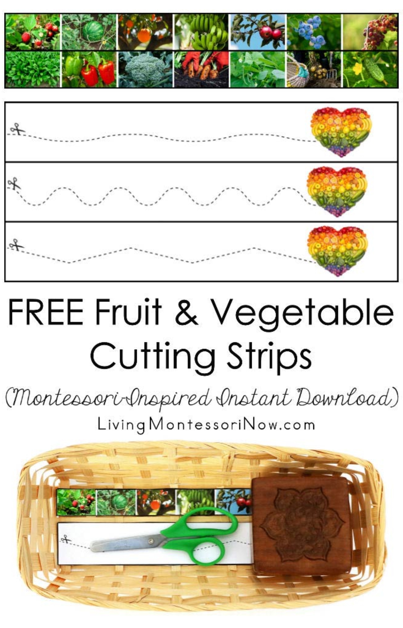Developing Scissor Cutting Skills with Montessori-Inspired Activities