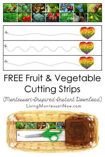 FREE Fruit and Vegetable Cutting Strips (Montessori-Inspired Instant ...