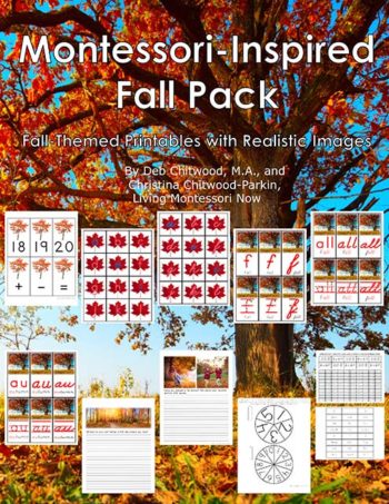 Free Fall Printables and Montessori-Inspired Fall Activities - Living ...