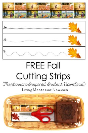 Free Fall Printables and Montessori-Inspired Fall Activities - Living ...