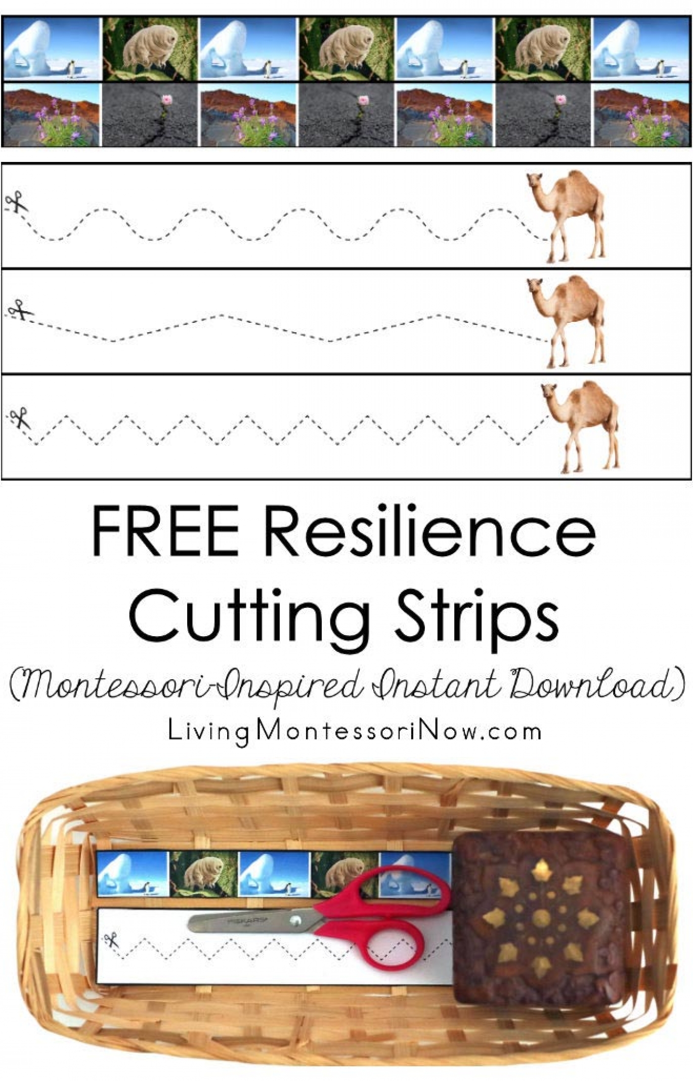 Developing Scissor Cutting Skills with Montessori-Inspired Activities