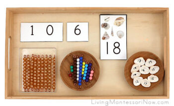 Free Seashell Printables and Montessori-Inspired Seashell Activities ...