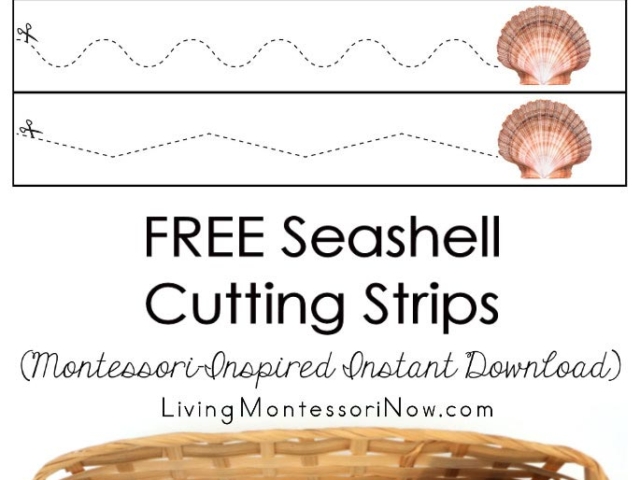 FREE Moon Cutting Strips (Montessori-Inspired Instant Download ...