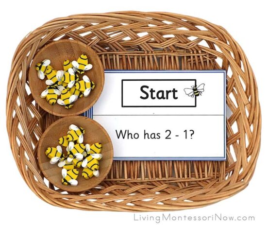 Free Noisy Insect Printables and Montessori-Inspired Noisy Insect ...