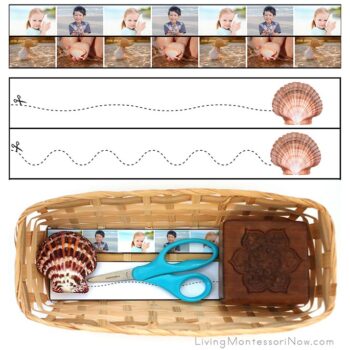 FREE Seashell Cutting Strips (Montessori-Inspired Instant Download ...