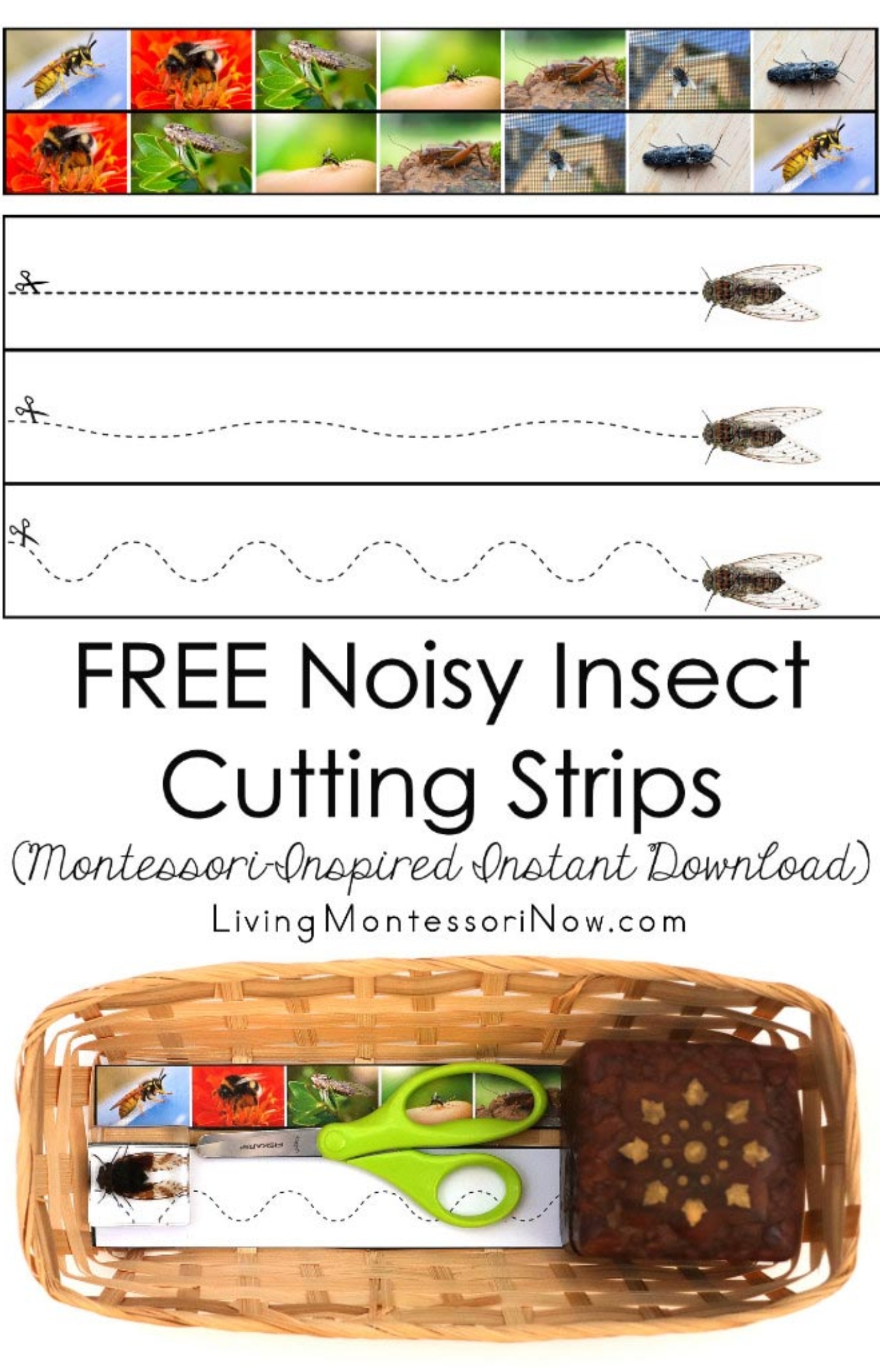 FREE Ant Cutting Strips (Montessori-Inspired Instant Download ...