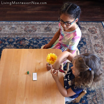 Non-Scary Day of the Dead Resources for Preschool Through Elementary ...