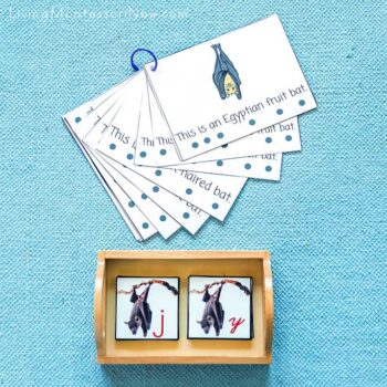 Free Bat Printables and Montessori-Inspired Bat Activities - Living ...